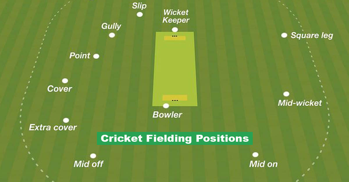Cricket Fielding Positions: Explaining Each Basic Position