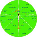 Cricket Fielding Positions: Explaining Each Basic Position