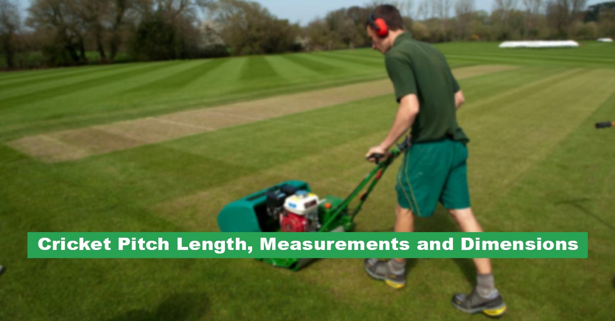 Cricket Pitch Length, Measurements And Dimensions